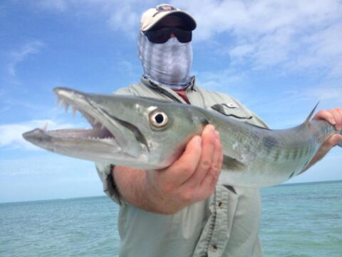 What is the Best Fish to Catch in Miami Florida?