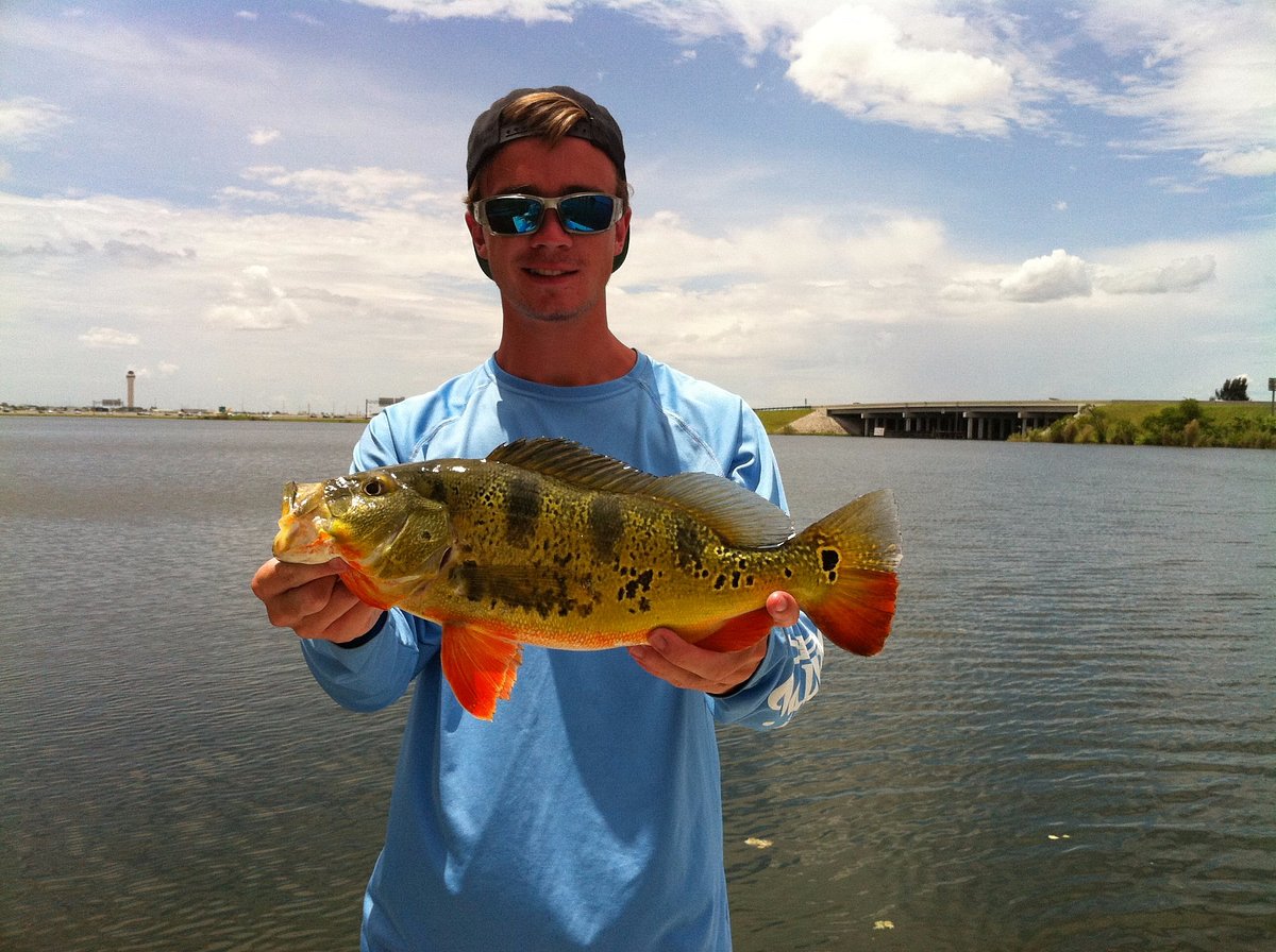 What is the Best Fish to Catch in Miami Florida?